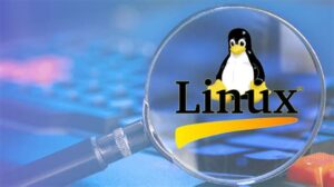 Embedded Linux Tutorial- All you need to Know – Flex PCB